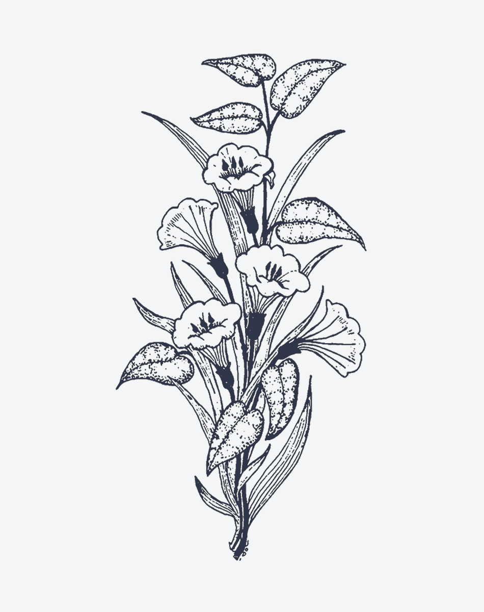 Minimalist Plant Line Art Tattoo Designs | Inkartlink – INKARTLINK